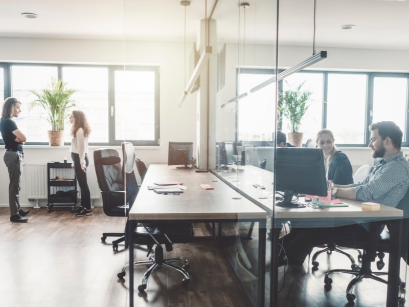 What Are the Design Options for a Half-Glass Partition?